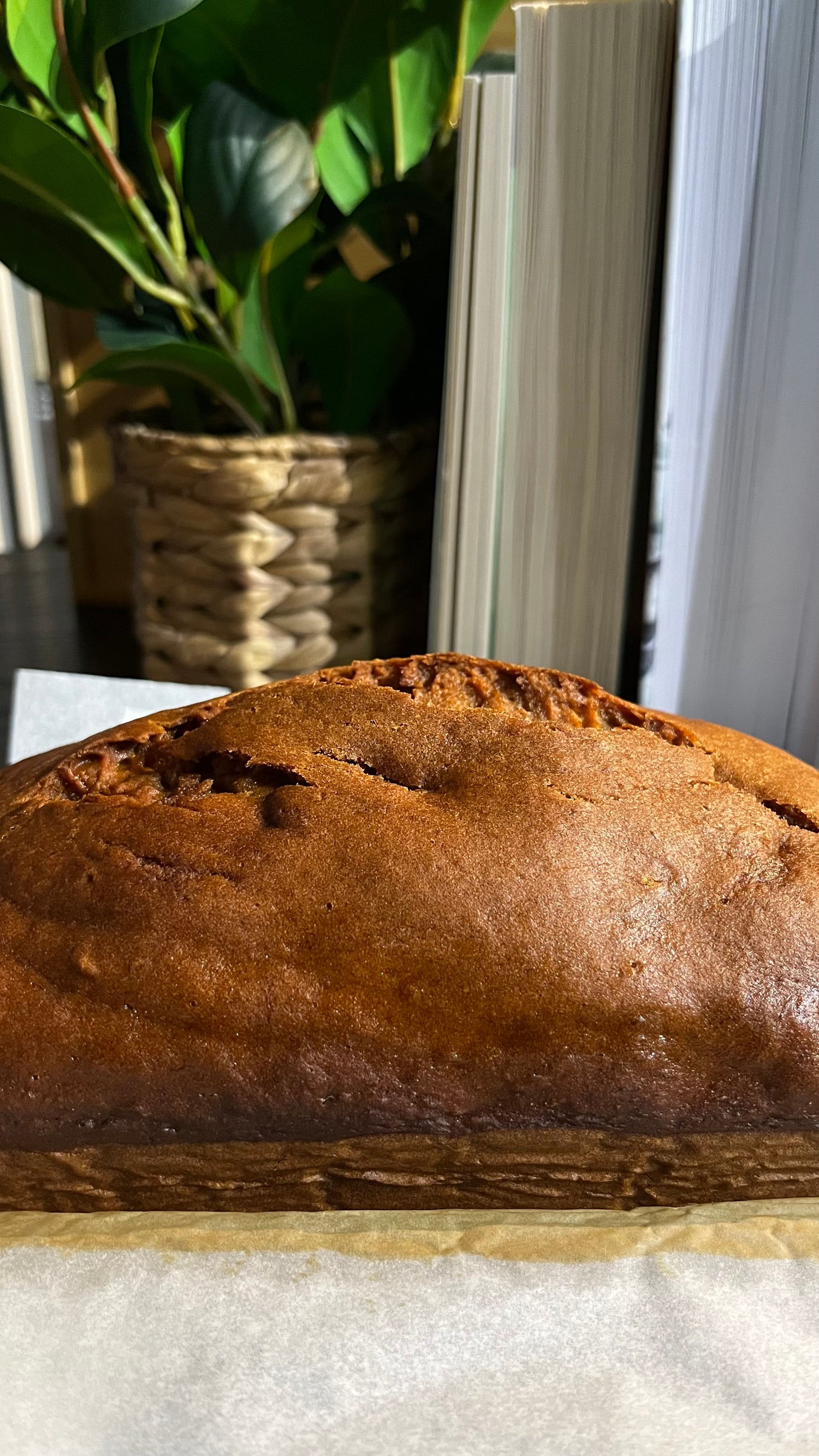 Bakery – Jay's House Bookshop & Bakery